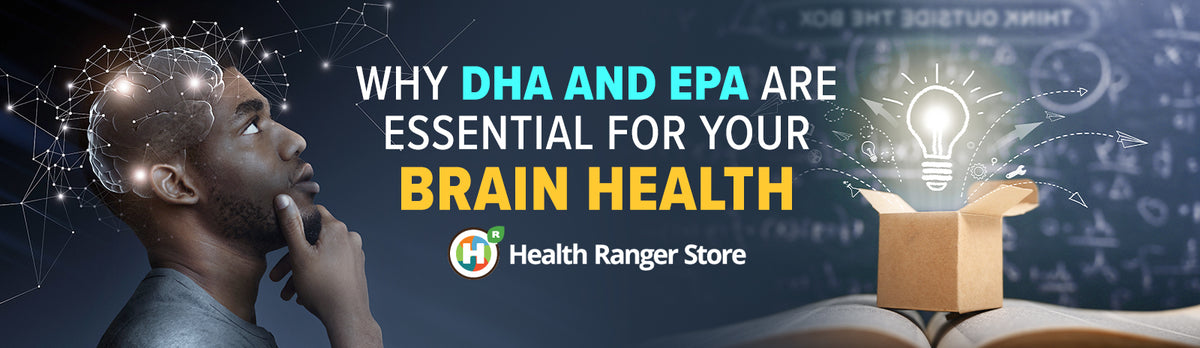 Why DHA-EPA are so essential for your brain health — Health Ranger Store