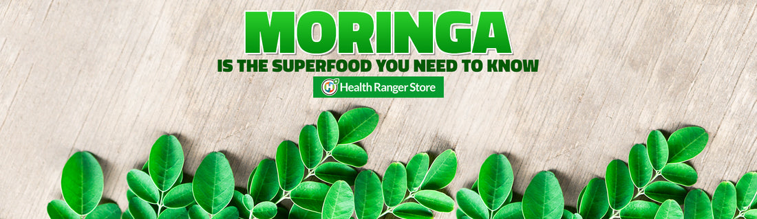 Moringa is the superfood you need to know – Health Ranger Store