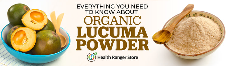 Everything you need to know about organic lucuma powder – Health Ranger ...