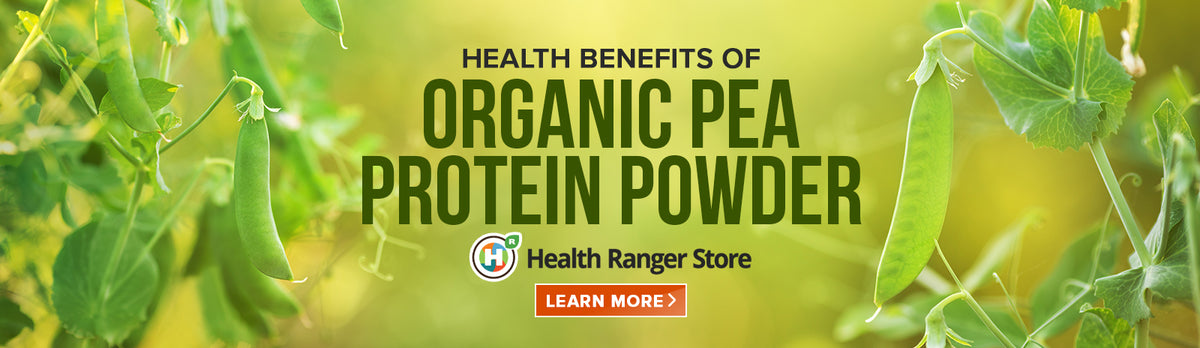 Pea protein is one of the best plant-based sources of protein — Health ...
