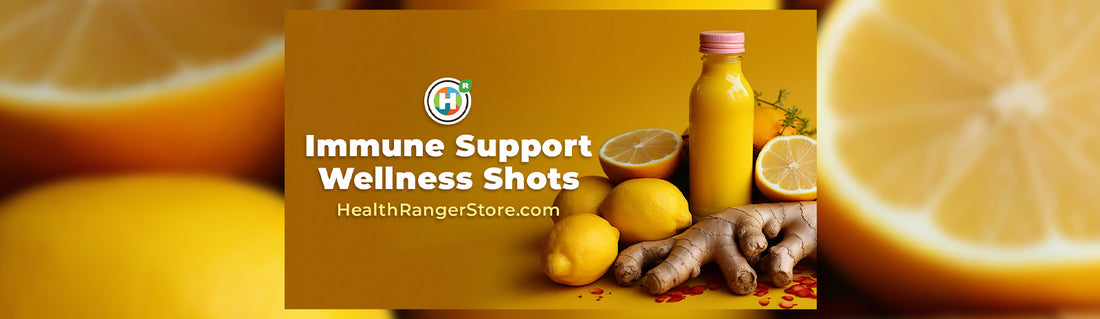 Recipes – Health Ranger Store