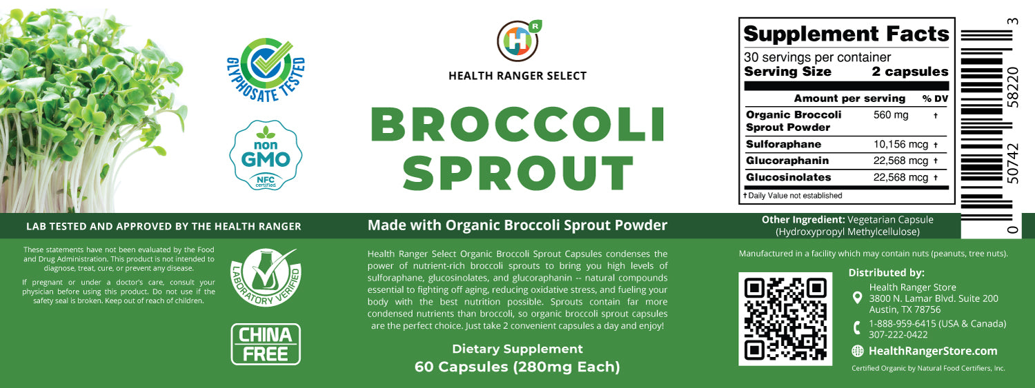 Broccoli Sprouts - 60 capsules - with Organic Broccoli Sprout Powder ...