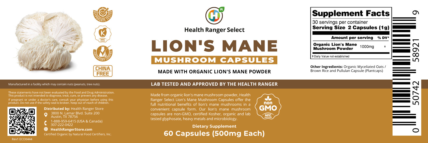 Lion's Mane Mushroom Capsules 60 Caps (500mg Each) (Made with Organic ...