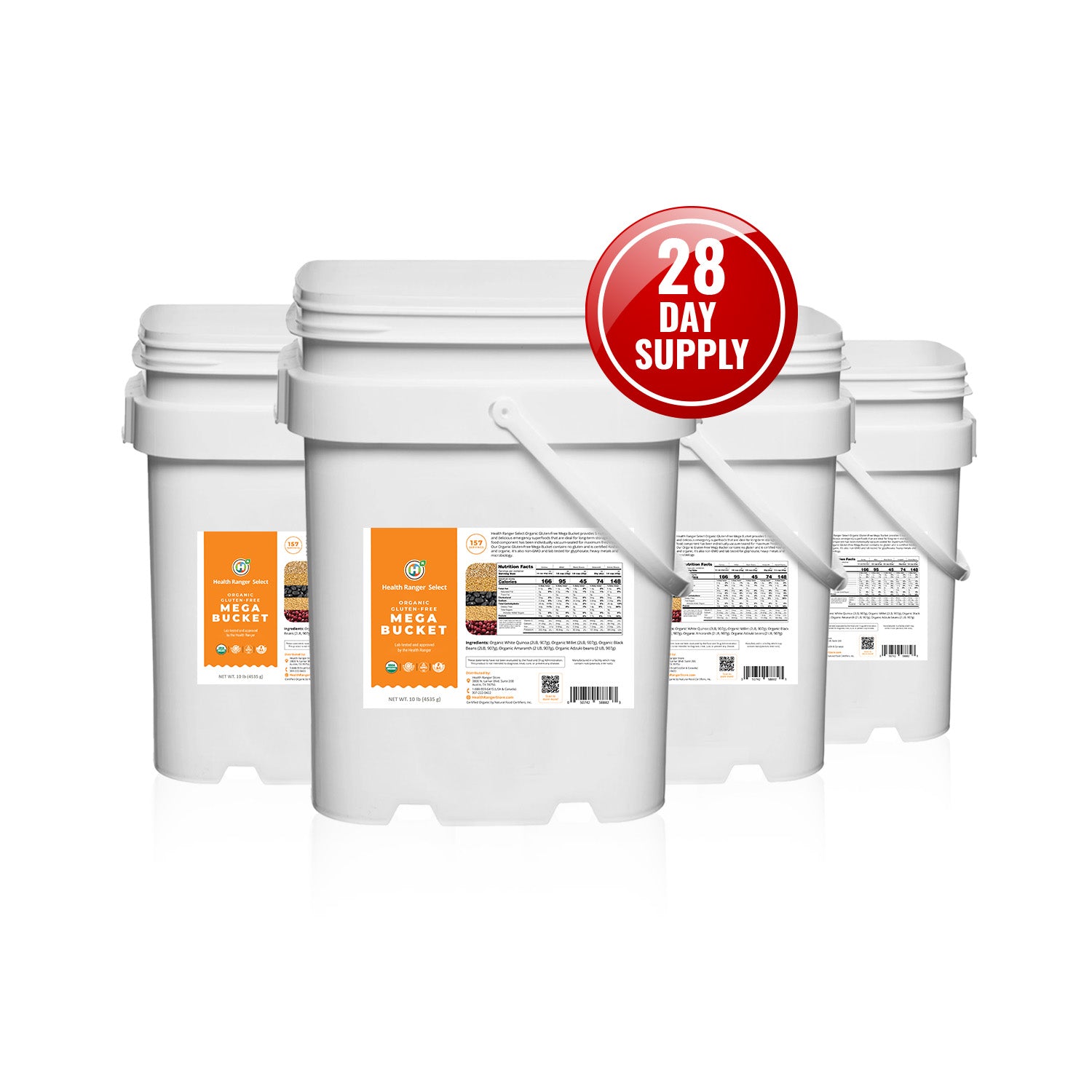 28 Days Food Supply (1 Adult) - Mega Bucket Organic Gluten-Free 10LB ...